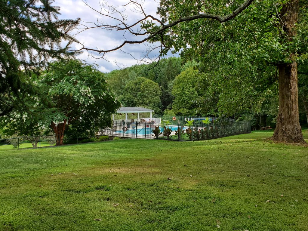 Bon SEcours - Swimming Pool from the distance jpg | Embrace Mindfulness